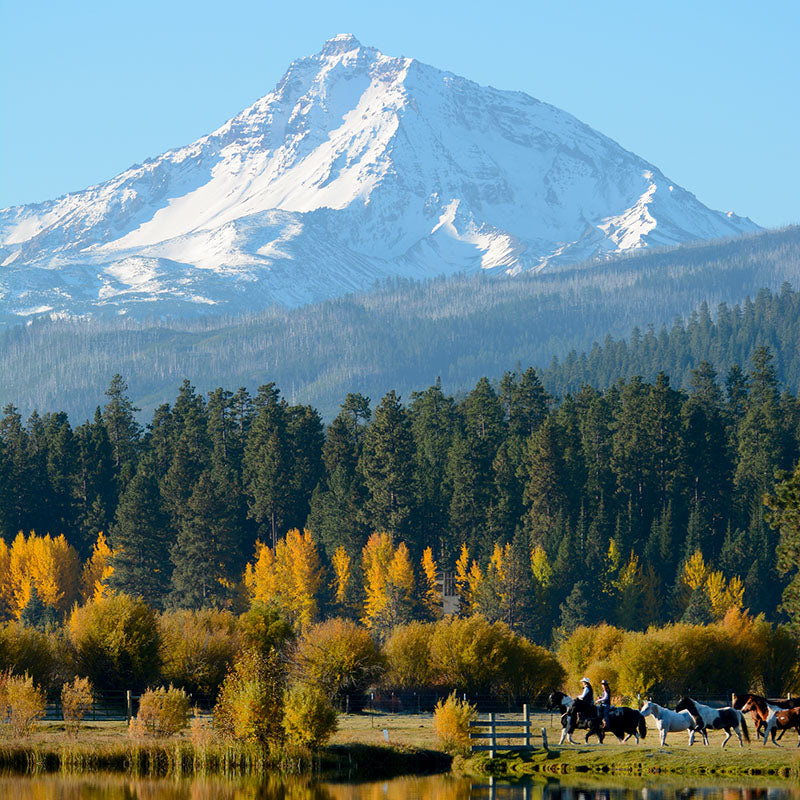 Workshop: Fall Photography in the Aspens, October 2024 – The Ray ...